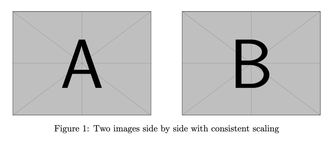 Resize Figures in LaTeX with Width, Height, and Aspect Ratio Options